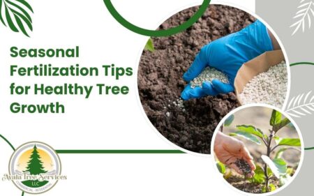 Seasonal Fertilization Tips for Healthy Tree Growth